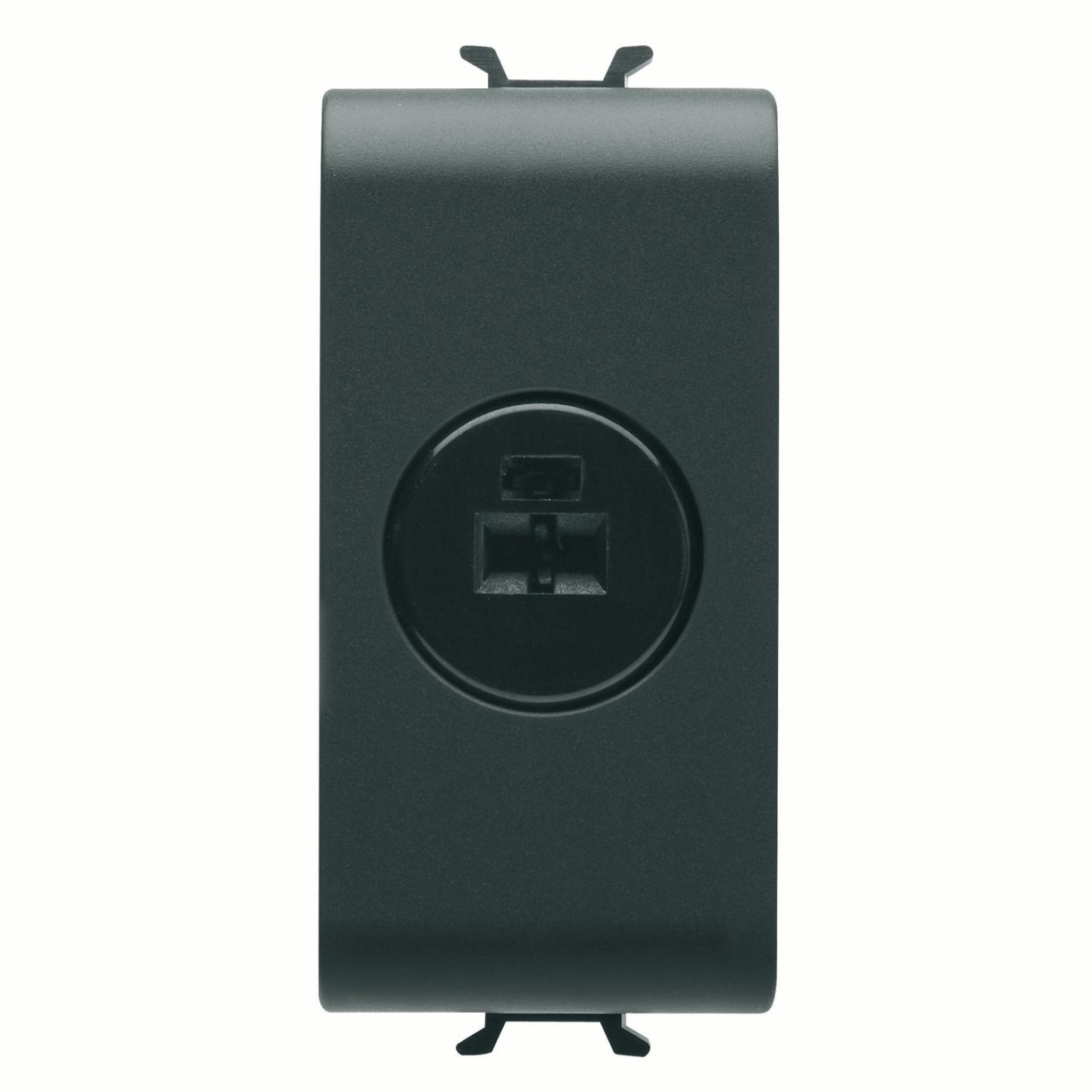 AUDIO AND VIDEO SOCKET - FOR LOUDSPEAKER - 1 MODULE - SATIN BLACK ...