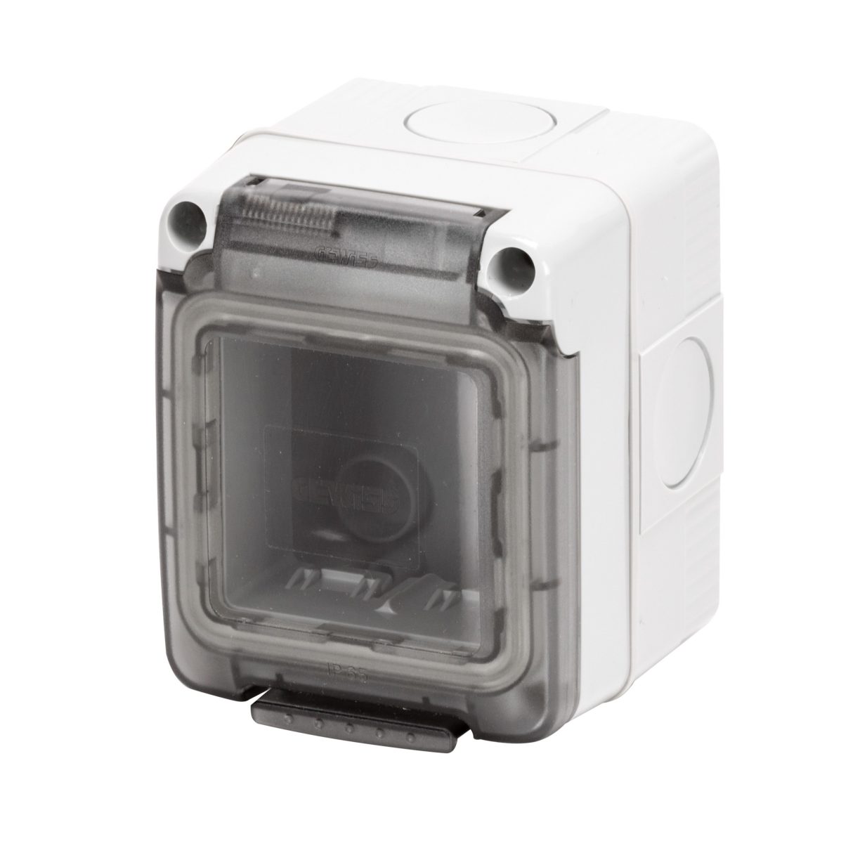 WATERTIGHT ENCLOSURE FOR SYSTEM DEVICES - 2 GANG - GREY RAL 7035 - IP65 ...